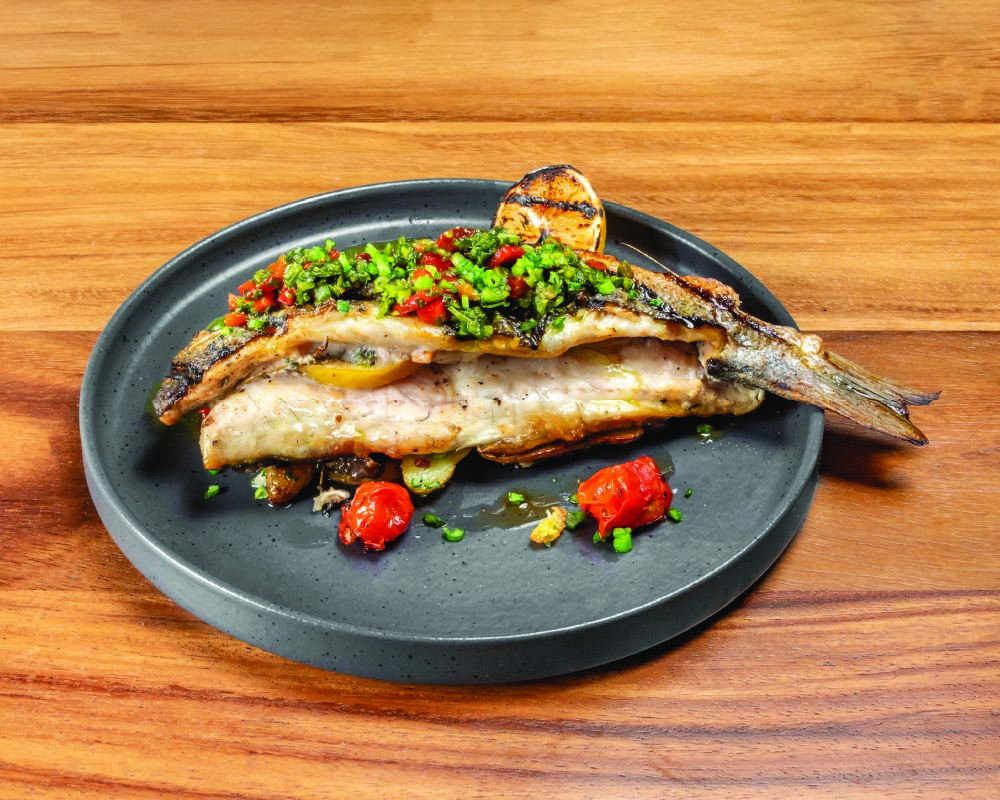 Java Nation - Exceptional Coffee & Culinary Experience